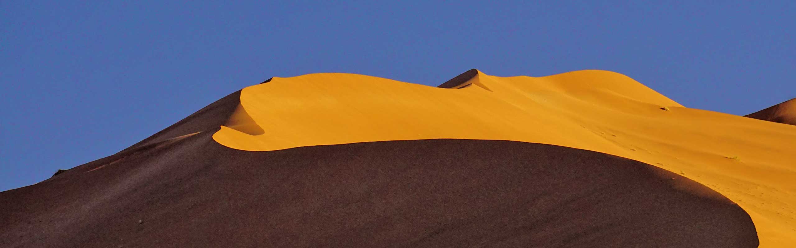 drifting-sand-header - Dorn